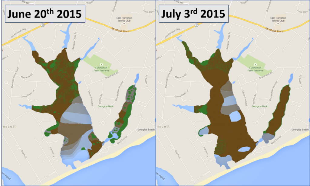 Three Hopeful Signs - Friends of Georgica Pond Foundation