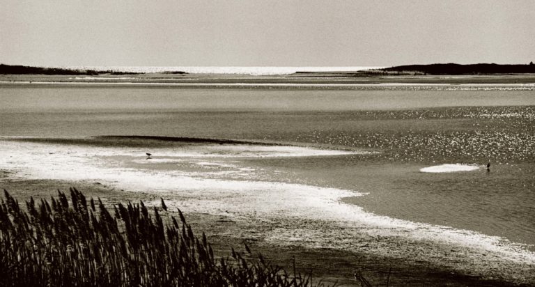 Contact - Friends of Georgica Pond Foundation