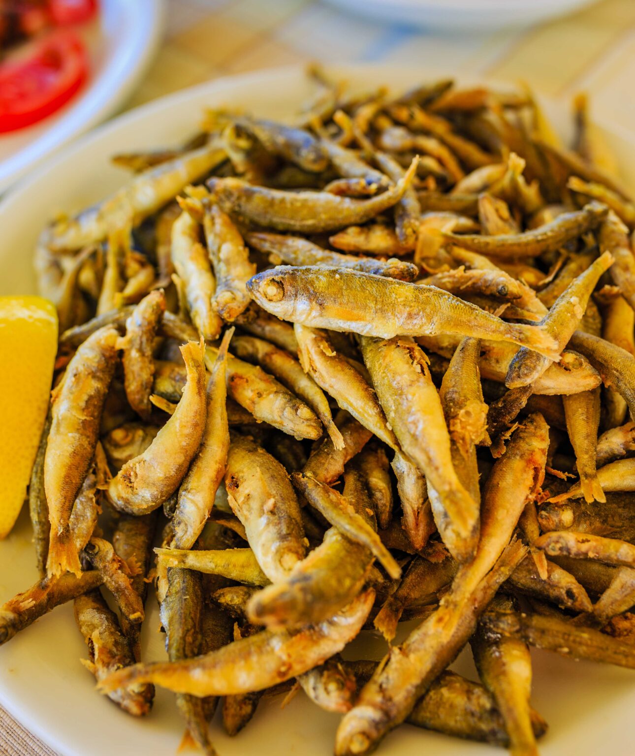 Whitebait - Friends of Georgica Pond Foundation
