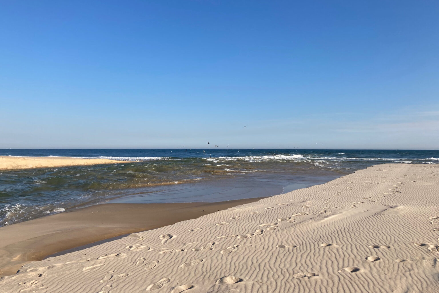 Georgica Pond Cut - Friends of Georgica Pond Foundation