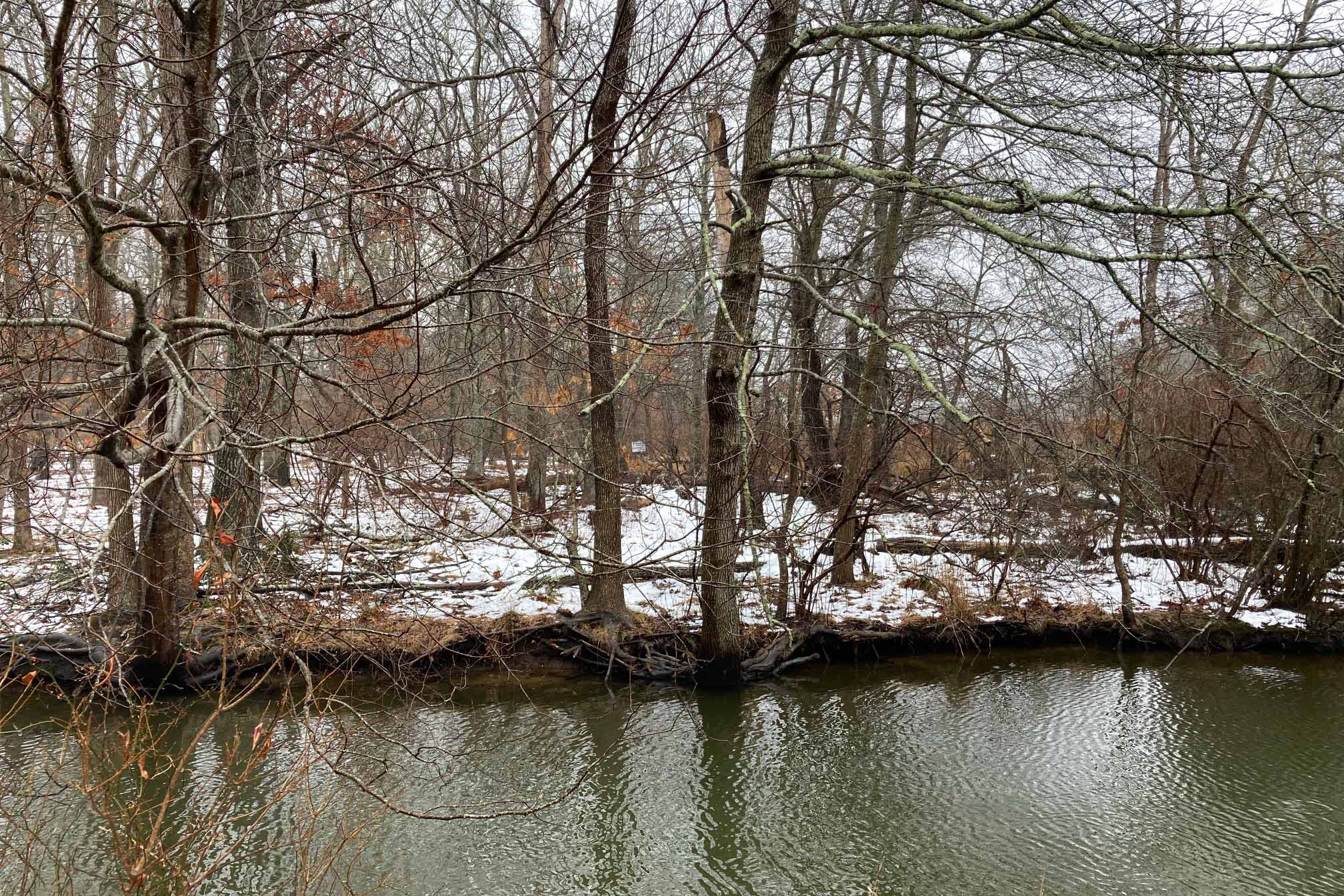 What is a Comprehensive Plan? - Friends of Georgica Pond Foundation