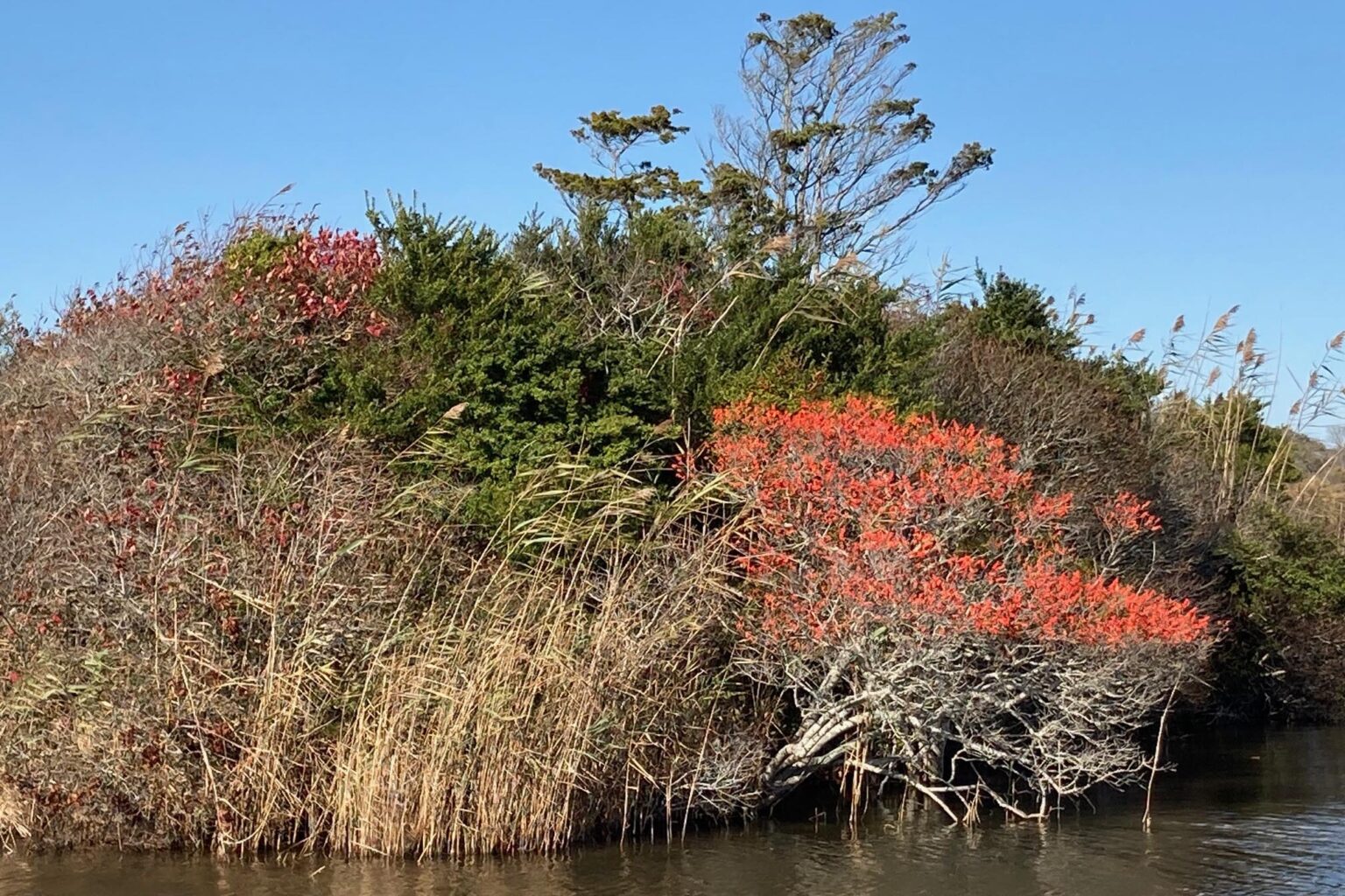 What is a Comprehensive Plan? - Friends of Georgica Pond Foundation